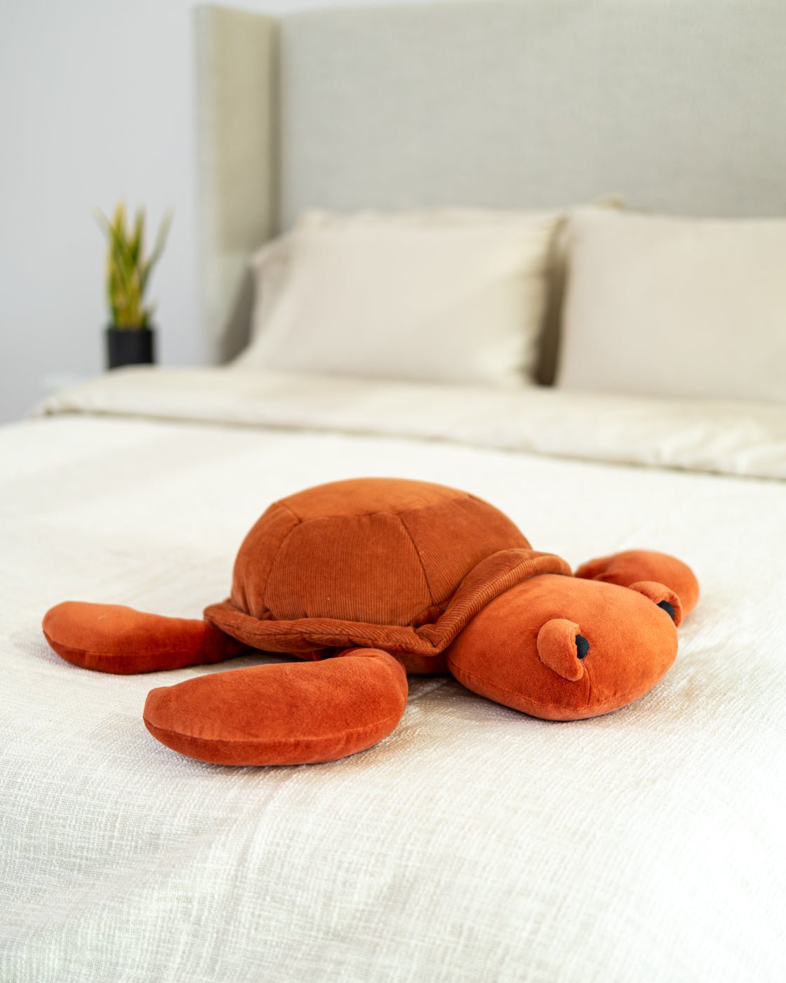 Organic Cotton Turtle Pillow – YaYa & Co.